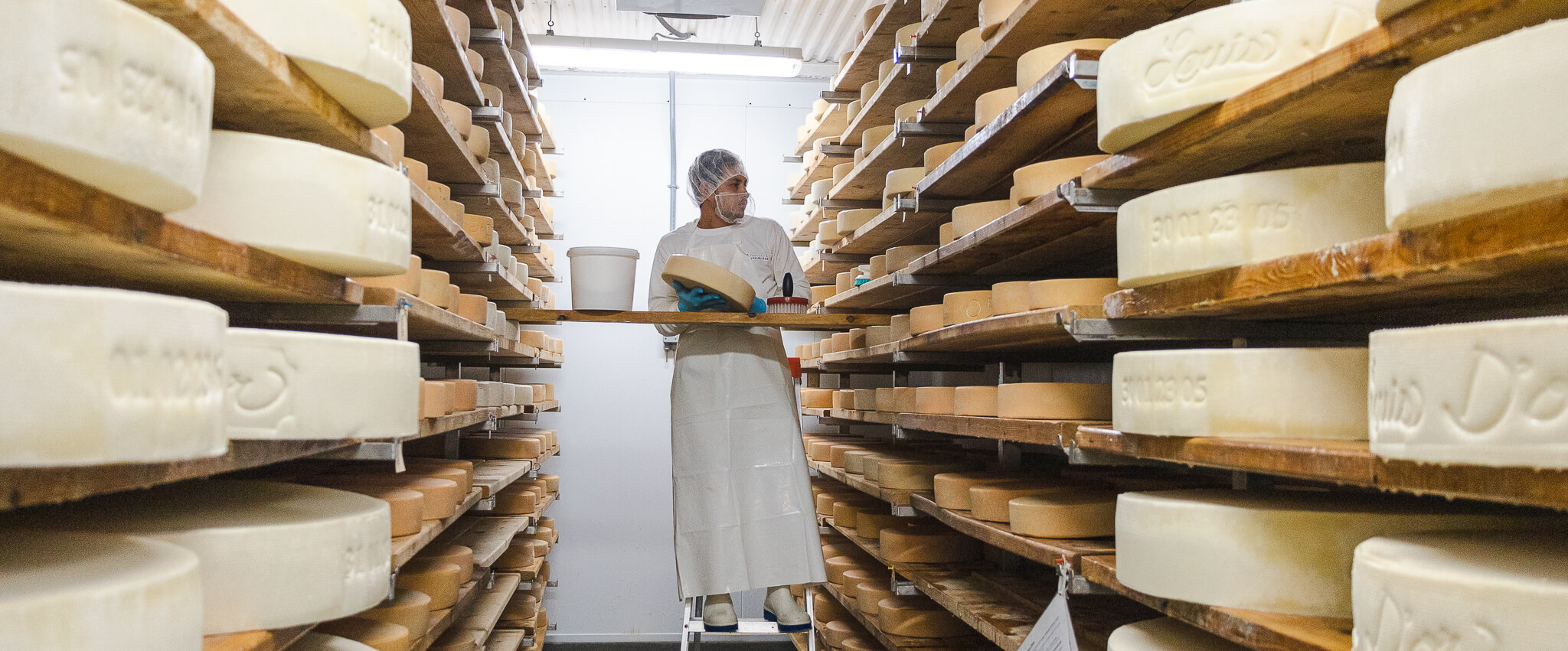 La fabrication durable du fromage fermier, de l'étable à la salle d ...