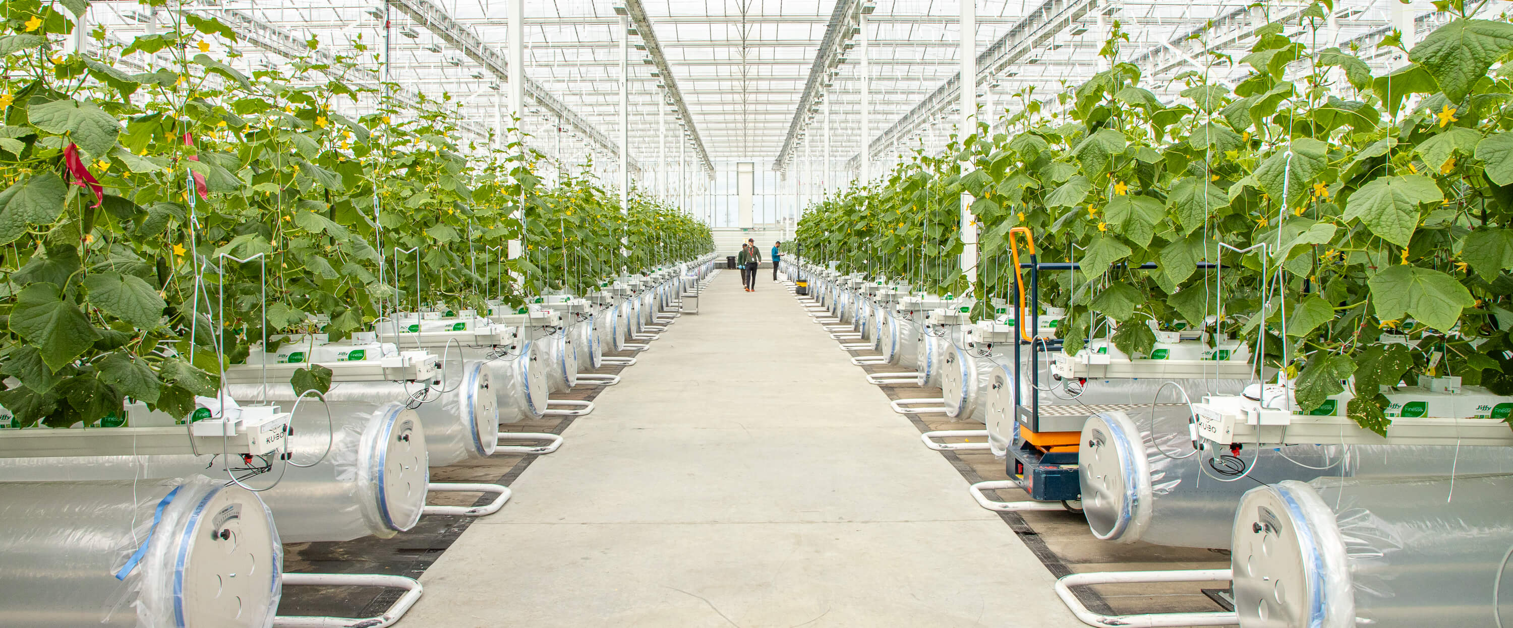 Rethinking space with our fifth rooftop greenhouse.