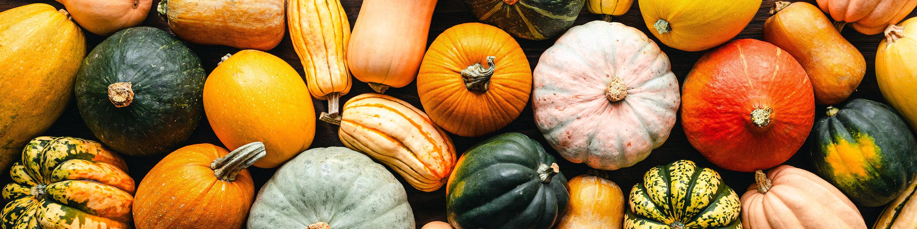 Specials - Squash Season - Lufa Farms Marketplace