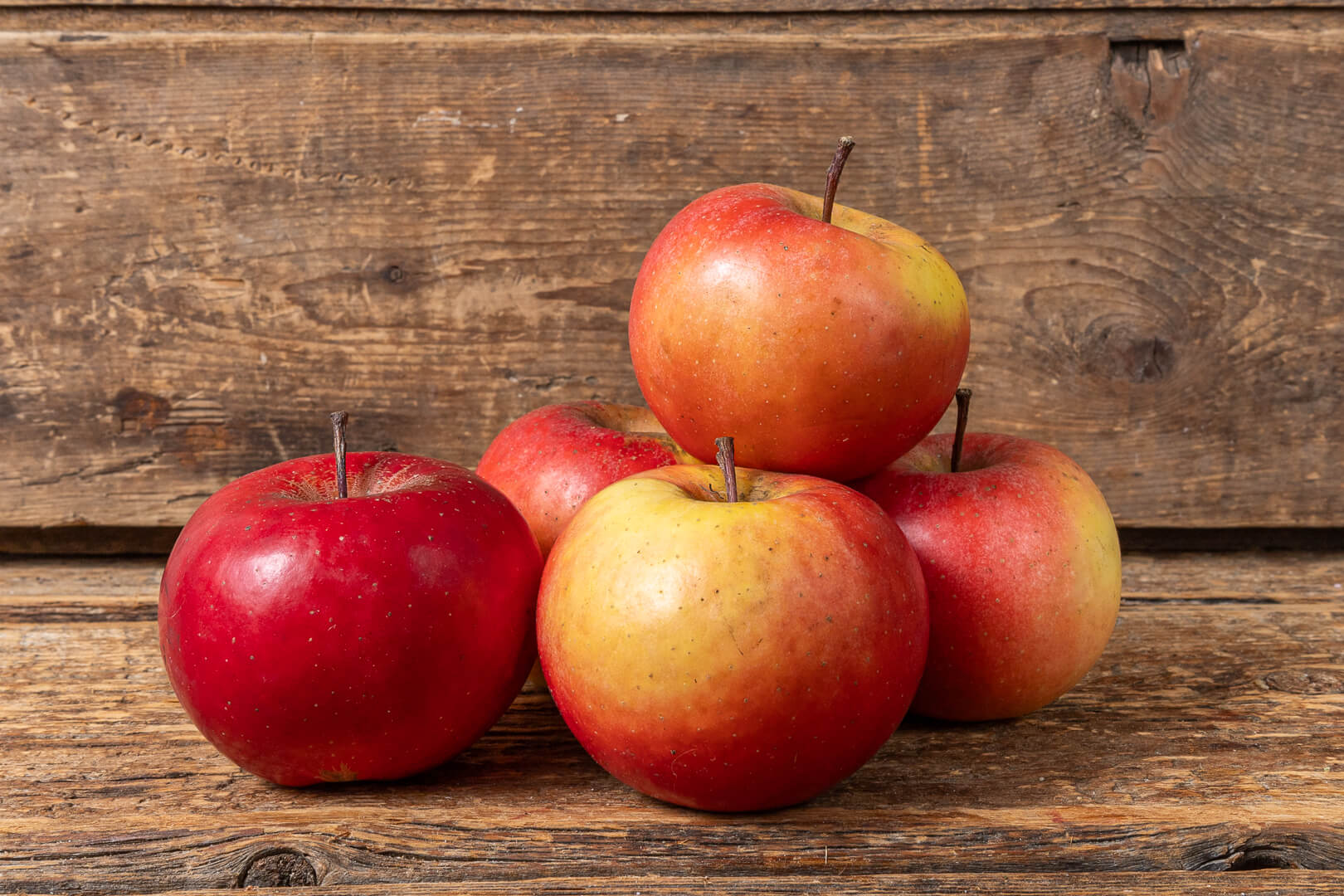 Salish Apples (4 to 6, 2024 harvest) - Lufa Farms Marketplace