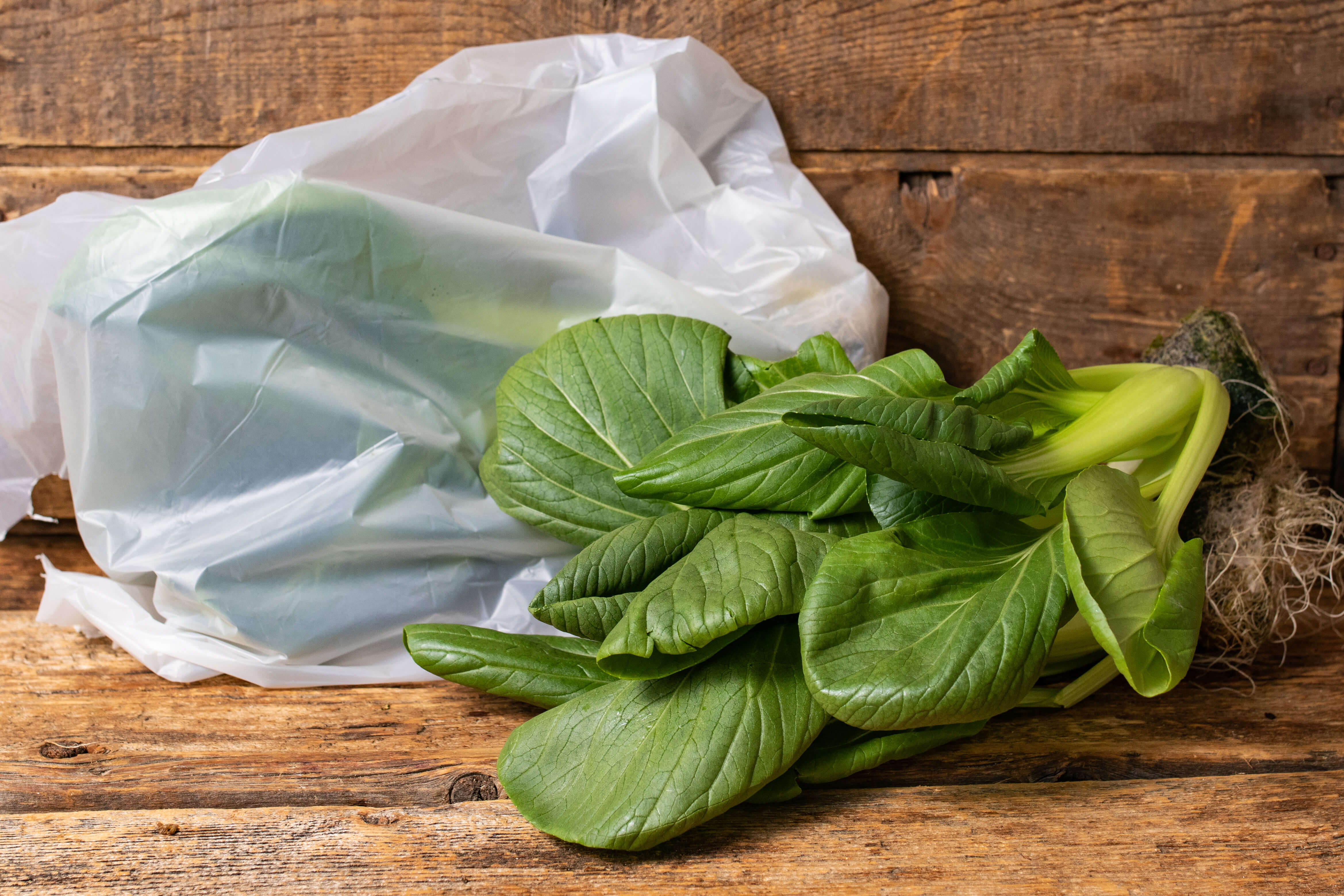 Black Summer Bok Choy - Lufa Farms Marketplace