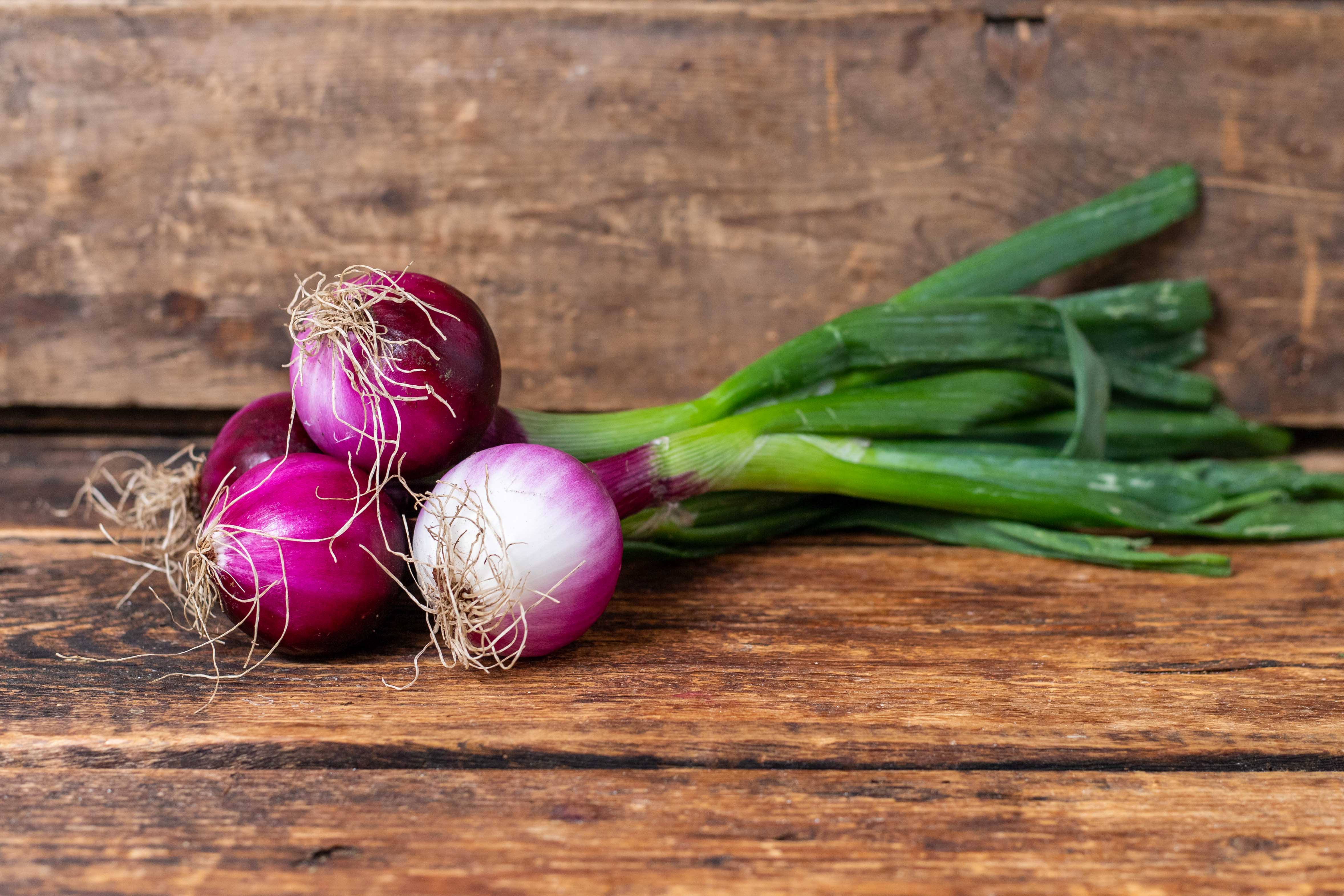 Jeunes oignons rouges - Marché des Fermes Lufa