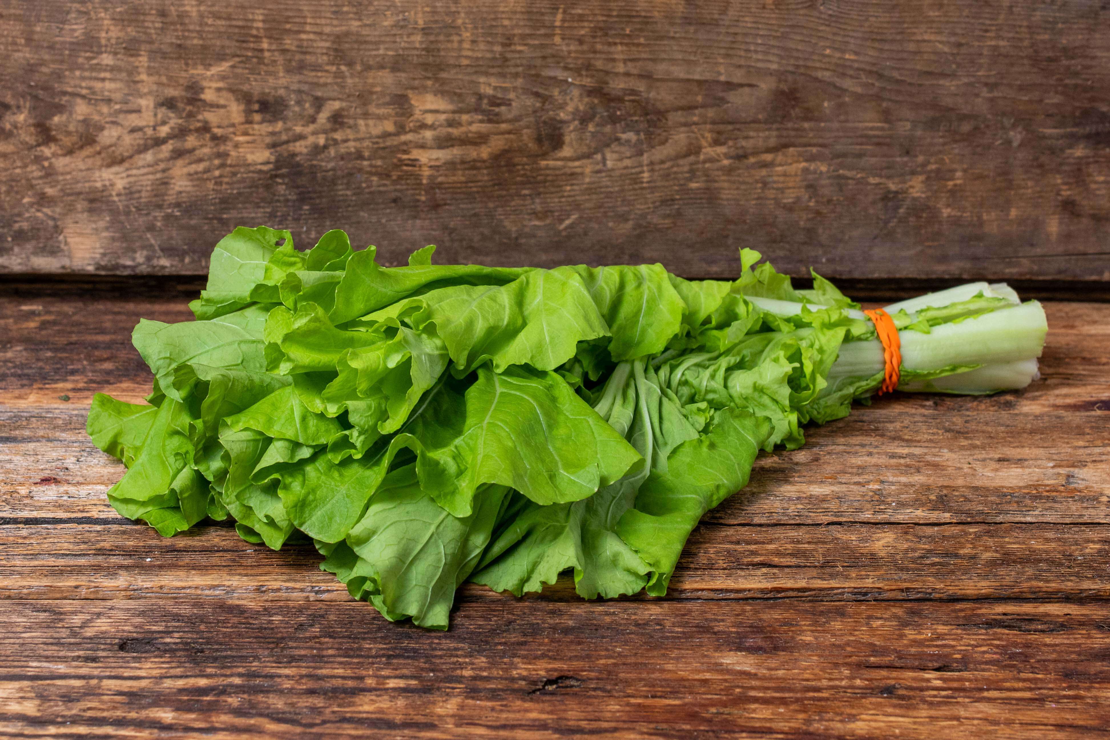 Chou Tokyo Bekana - Marché des Fermes Lufa