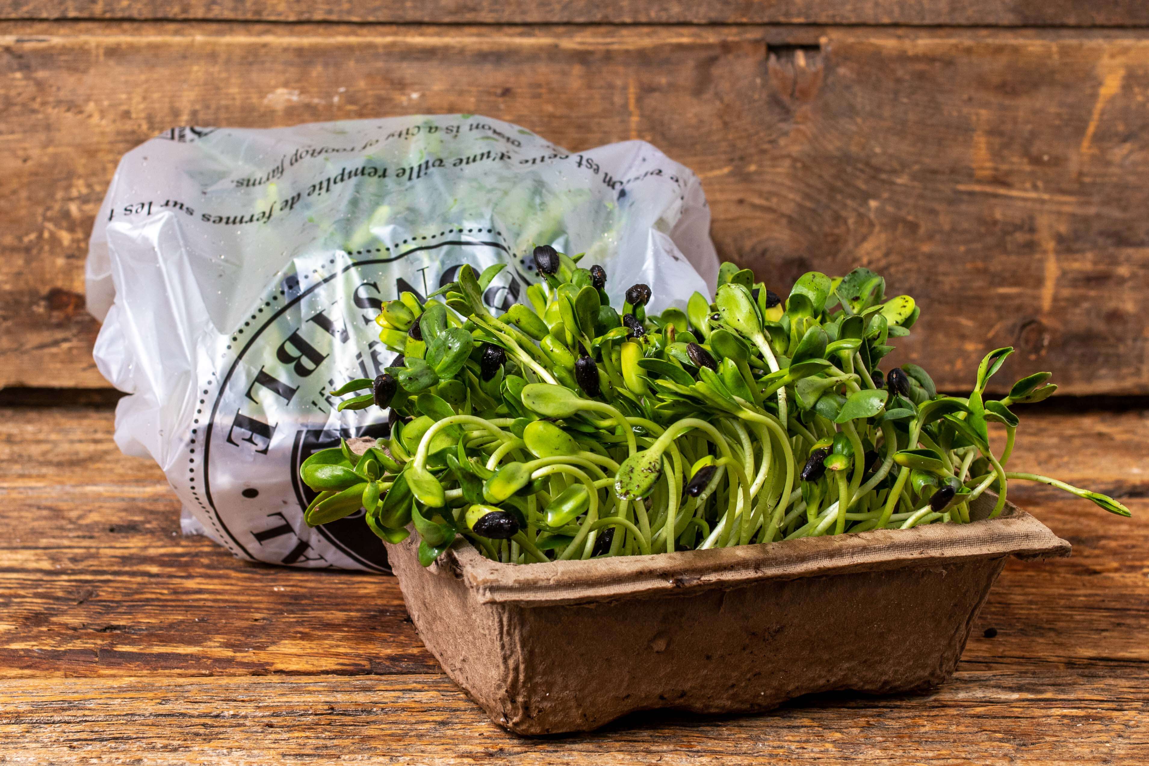 Black Oil Sunflower Microgreens - Lufa Farms Marketplace