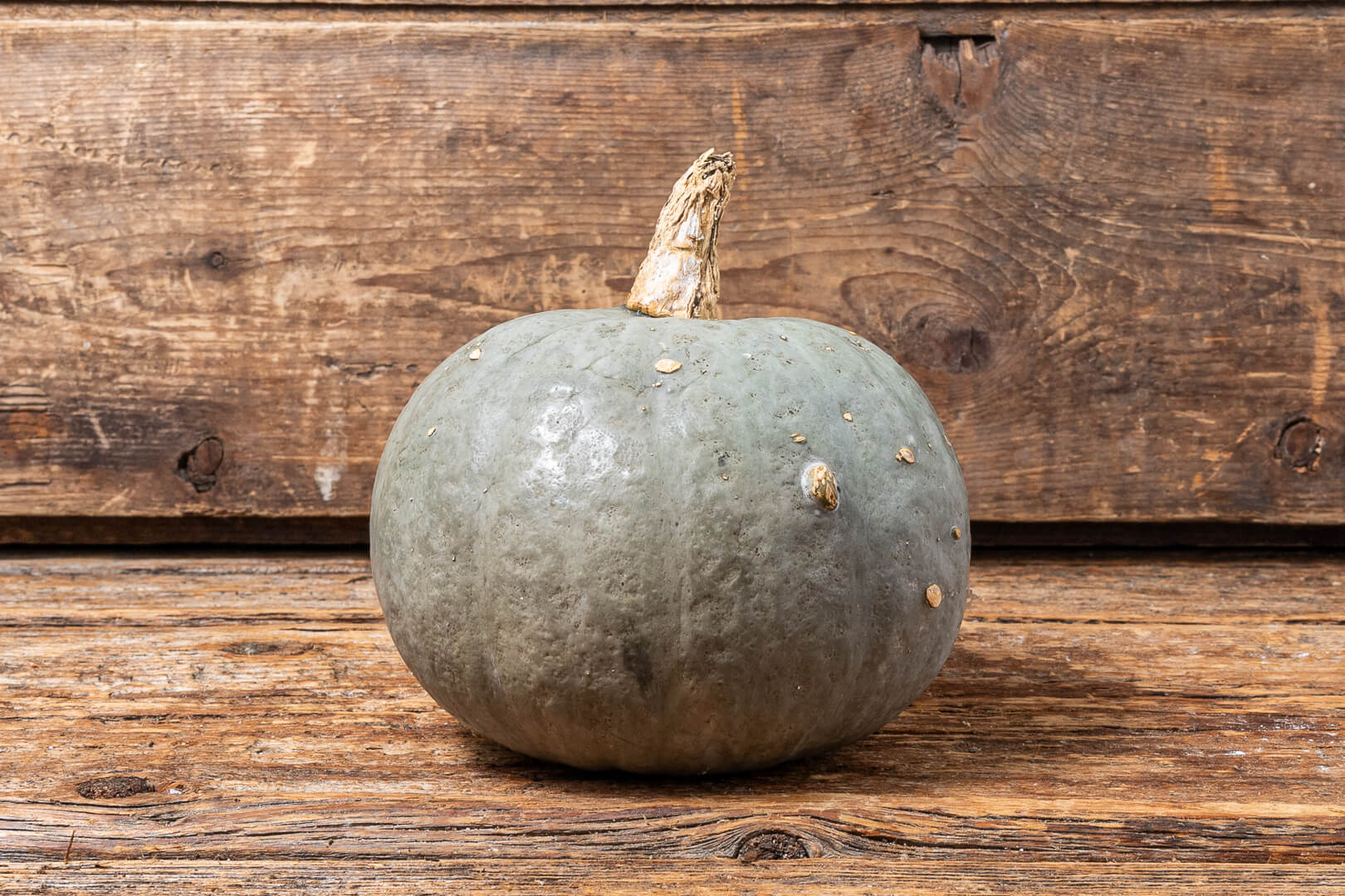 Crown Squash (mini) - Lufa Farms Marketplace