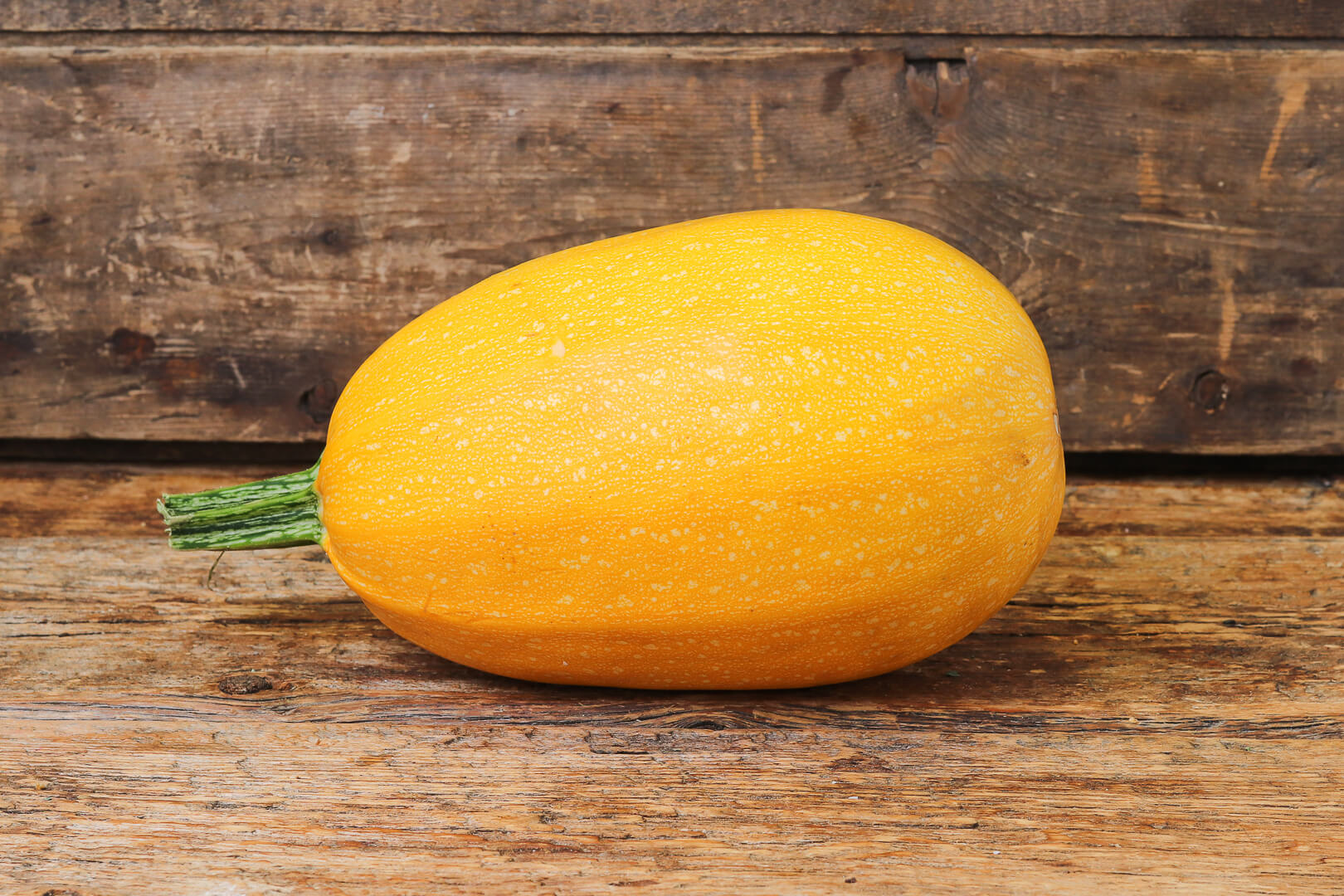 Orangetti Squash - Lufa Farms Marketplace