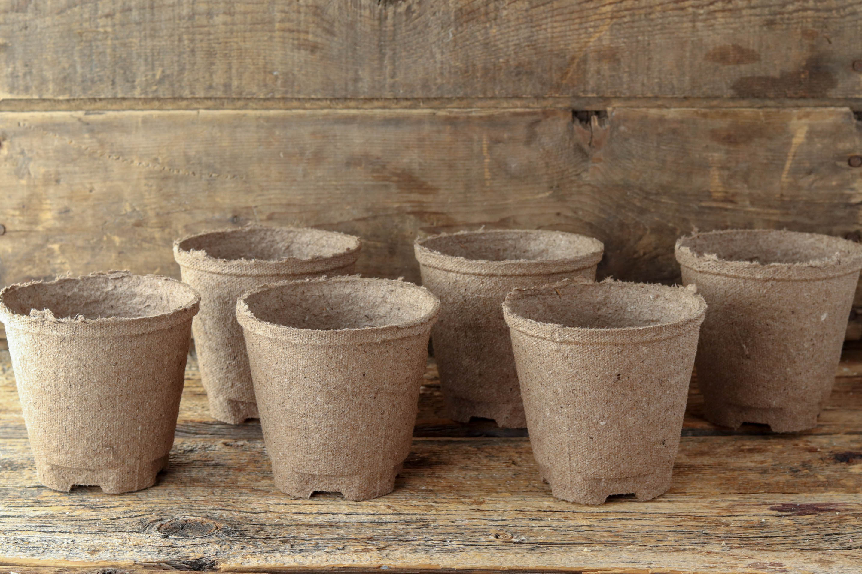 Ensemble de 6 pots biodégradables (4 po) - Marché des Fermes Lufa