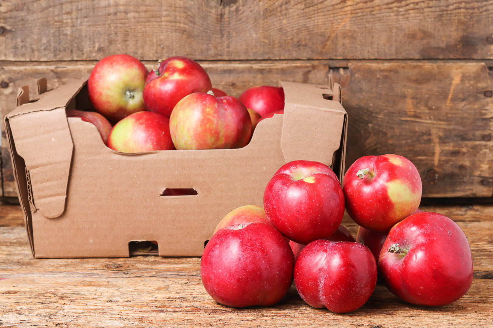 Lobo Apples (2024 harvest) - Lufa Farms Marketplace