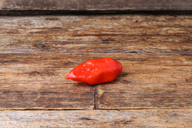 Hot Paper Lantern Pepper - Lufa Farms Marketplace