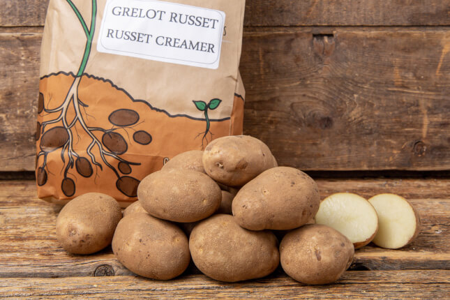 Pommes de terre grelots Russet - Marché des Fermes Lufa