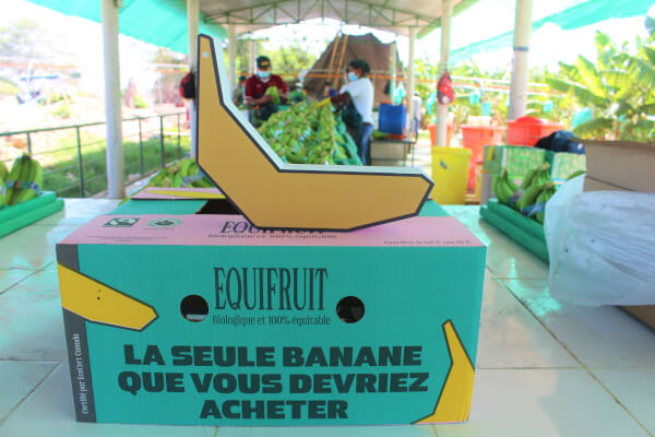 Equifruit - Lufa Farms Marketplace