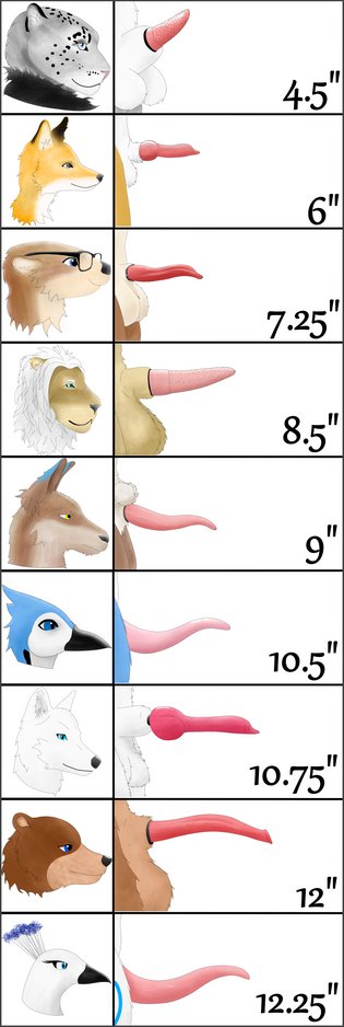 Penis Size Charts Luscious Hentai Manga And Porn