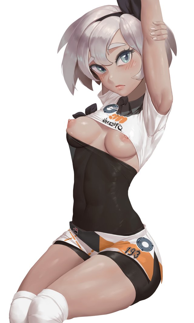 Sample A76f941f8f2a56f3d4a9caf7d6e60b0c Pokemon Sword And Shield Gym