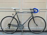 Panasonic 12 Speed Road Bike GREAT CONDTION Ready To Ride - $300 ...