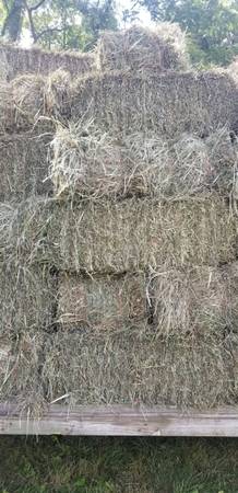 Small square bale grass hay for sale $4 | Garden Items For Sale ...