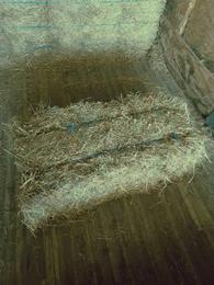 21 BALE BUNDLES OF 1ST CUTTING BROME GRASS SMALL SQUARE BALES OF HAY $8 ...