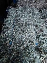 21 BALE BUNDLES OF 1ST CUTTING BROME GRASS SMALL SQUARE BALES OF HAY ...