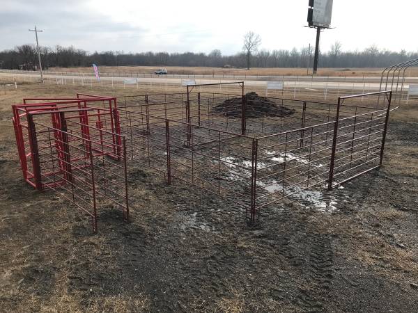 Heavy Cattle Working System with Sweep and Alley Sch-40 and Solid Bar ...
