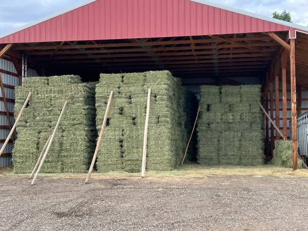 2nd cutting Alfalfa/Grass Hay $10 | Garden Items For Sale | Fort ...
