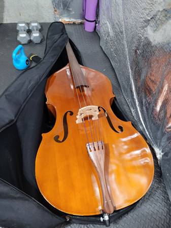 Engelhardt EM1 Upright Bass with Strunal soft case $1,100 | Musical ...