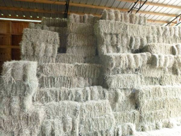Hay Coastal Bermuda Square bales | Garden Items For Sale | Gainesville ...