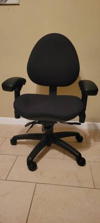 BodyBilt ErgoGenesis Mid-Back Office Chair $100 | Furniture For Sale ...