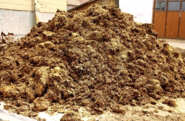 wanted Horse manure | Apartments For Rent | Humboldt, CA | Shoppok