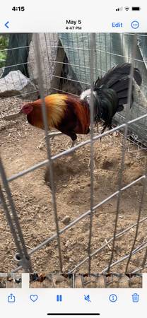 McRae con Bobby boles $250 | Garden Items For Sale | Inland Empire, CA ...