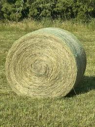 4X5 Round Bales And Square Bales For Sale $1 | Garden Items For Sale ...