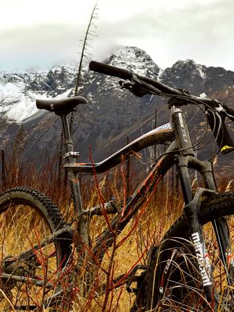 GT SENSOR 9R ELITE Full Suspension 29er Mountain Bike $400 | Bikes For ...