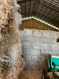 Hay Coastal Bermuda Square bales | Garden Items For Sale | Gainesville ...