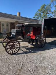 horse drawn surrey wagon buggy carriage $3,800 | Garden Items For Sale ...