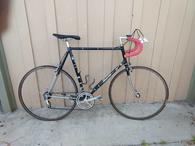 1976 Raleigh Competition 62cm Road Bike ★Professional Restoration★ $750 ...