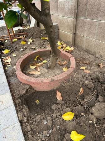 Cement Tree Ring - Red $10 | Garden Items For Sale | Los Angeles, CA ...