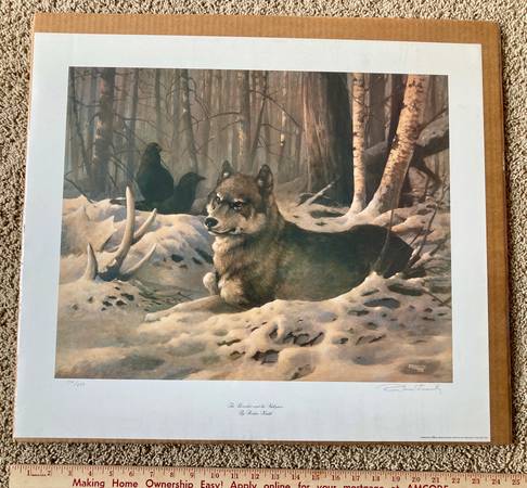 NEW Wolf Print signed wall picture Rockne Knuth WI artist art photo $90 ...
