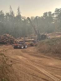 Log truck loads of firewood $1,100 | Garden Items For Sale | Upper ...