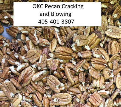 Pecan Cracking and Shelling Pecans and Peanuts OKC | Garden Items For ...