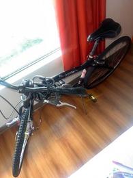 Boss Infinity Three Disc Shimano Unisex Hybrid 7 Speed Bike - Black ...