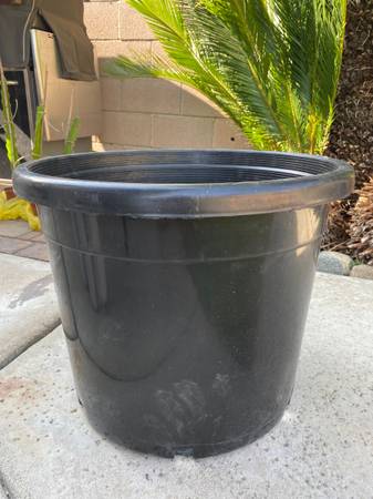 20-gallon Professional Heavy duty Nursery pot $20 | General Items ...