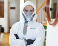 Shoppok Free Local Classifieds in Phoenix, AZ. Craigslist and Backpage ...