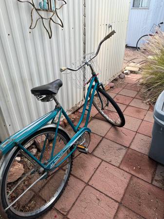 Murray jet fire-x 64 classic cruiser bike - $150 (Apache Junction ...