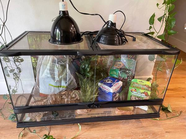 Turtle Exo Terra Outback Terrarium 40 Gallon $325 | Garden Items For ...
