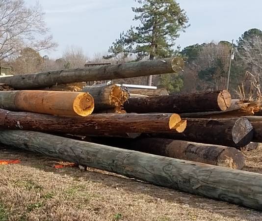 Used Utility Poles $2 | Garden Items For Sale | Raleigh, NC | Shoppok