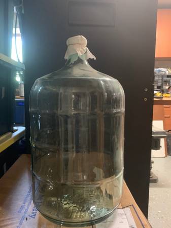 5 Gallon Glass Water Bottles $25 | General Items | Reading, PA | Shoppok