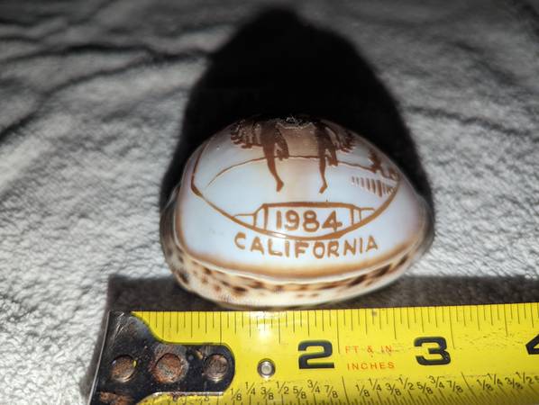 Tiger Shell Cowrie 1984 summer olympic games LA CA los angeles art car ...