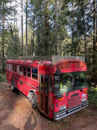 1995 AmTran Genesis Converted School Bus $20,000 | RV, RVs for Sale ...