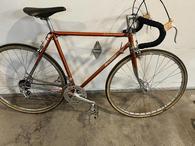 Raleigh International - Classifieds - Shoppok