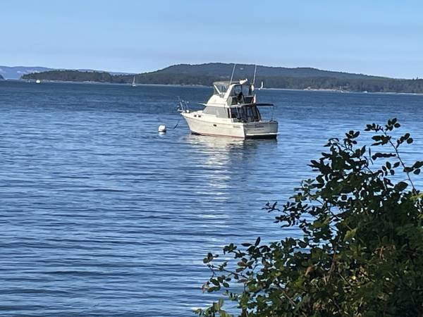 32 bayliner 3288 trawler $41,000 | Boats For Sale | Seattle, WA | Shoppok