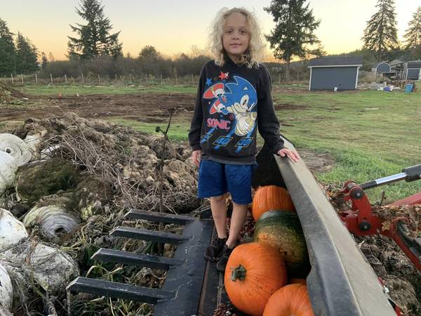 We recycle your used pumpkins and feed them to the chickens at Dancing ...