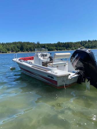 Well-Maintained 17 ft Boat with Newish 115 HP Mercury 4Stroke Motor ...